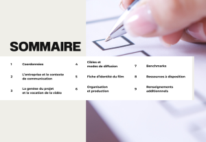 Modèle de brief de vidéo corporate - Skeem